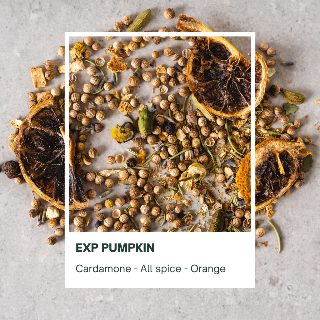 EXP - Pumpkin – Ginius - Gin Artisanal